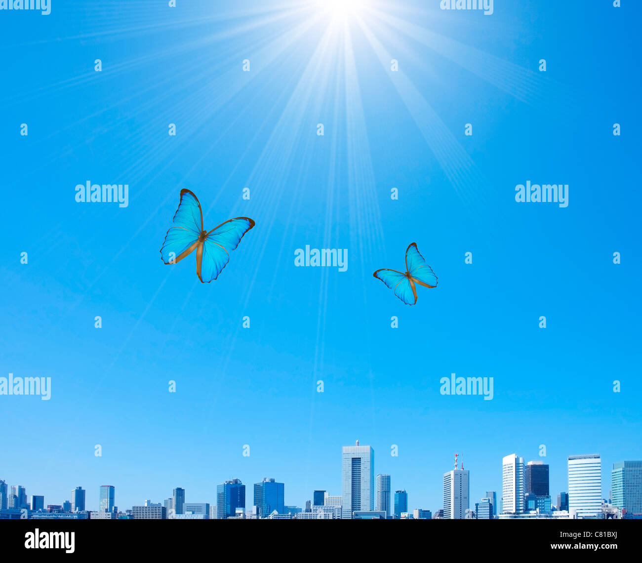 Butterflies Over City Stock Photo - Alamy