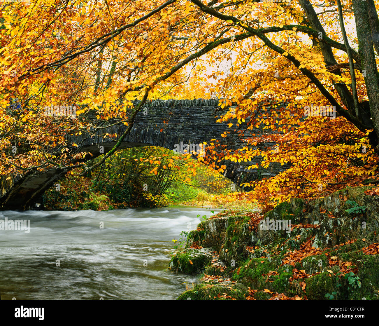 River Brathay, Clappersgate, Cumbria, Lake District, England Stock ...
