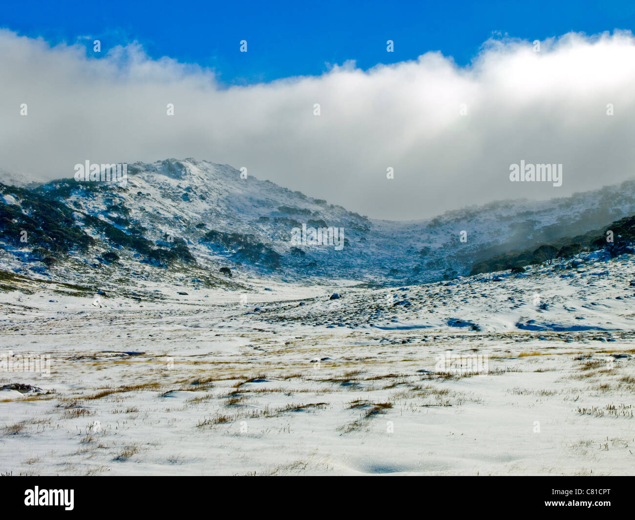 Early season snow Snowy Mountains, NSW, Australia above Perisher Valley ...