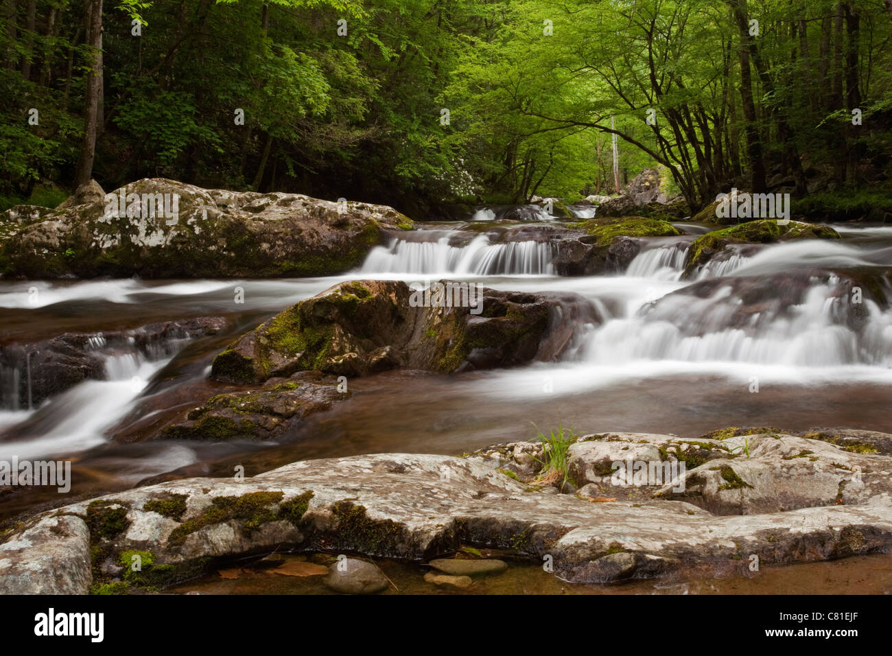 Smokies river hi-res stock photography and images - Alamy
