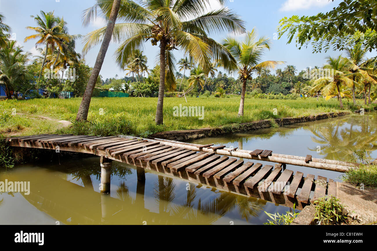 wooden walkway bridging a canal that services rice paddy fields in ...