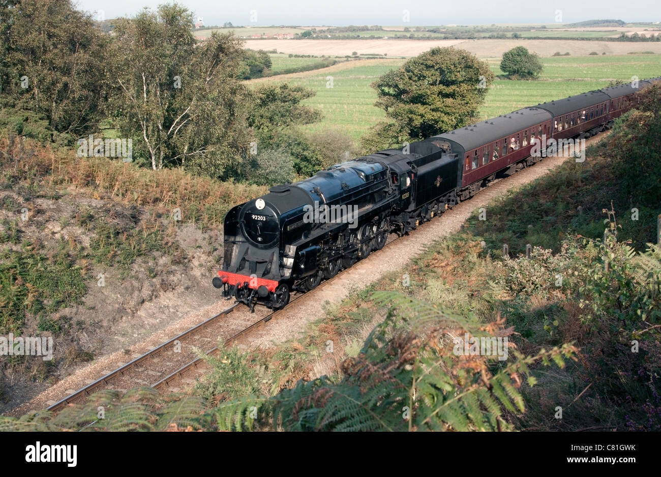 9F 2-10-0 - 92203 Black Prince Steam Locomotive owned by wildlife ...