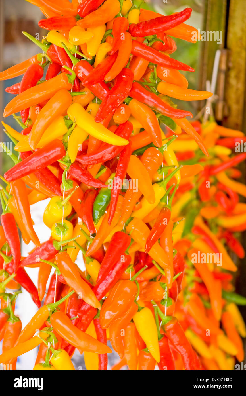 Chilifruits hi-res stock photography and images - Alamy