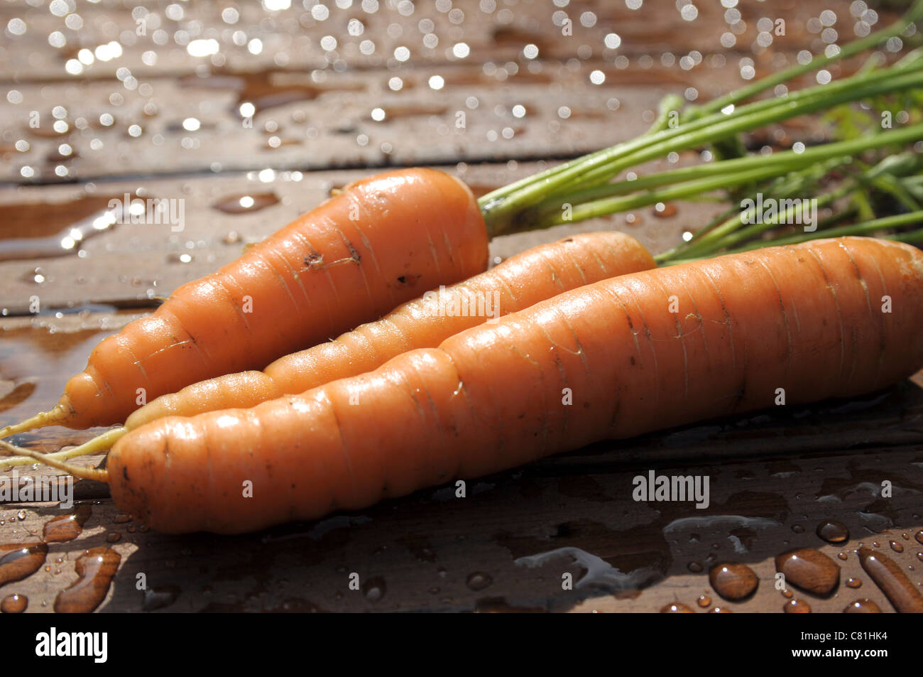 Organically grown carrots Stock Photo - Alamy
