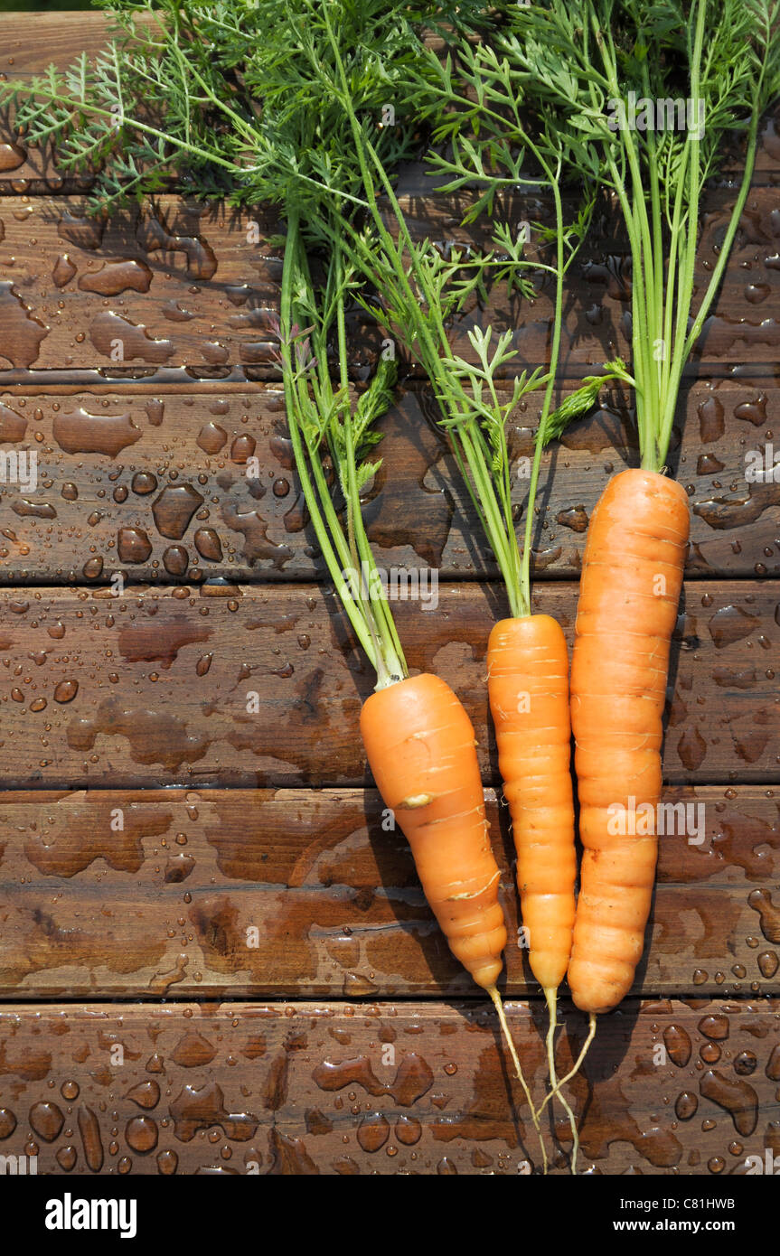 Pulled Carrots High Resolution Stock Photography and Images - Alamy