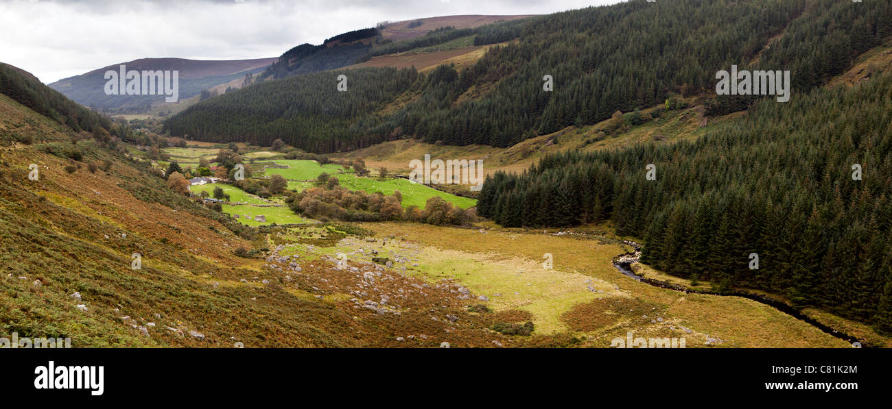 Wicklow mountains sheep hi-res stock photography and images - Alamy