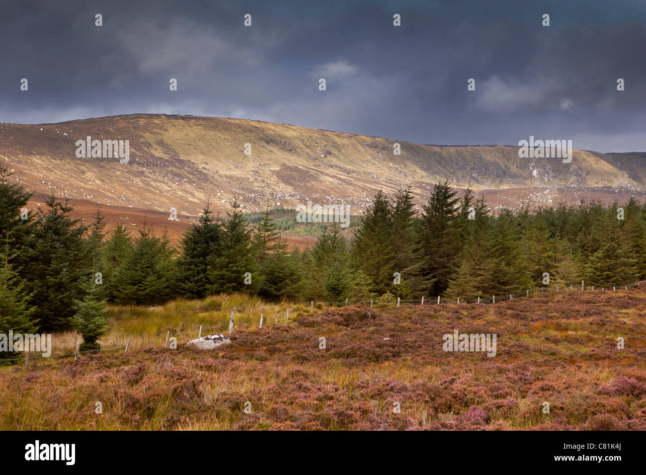 Sally gap drive hi-res stock photography and images - Alamy