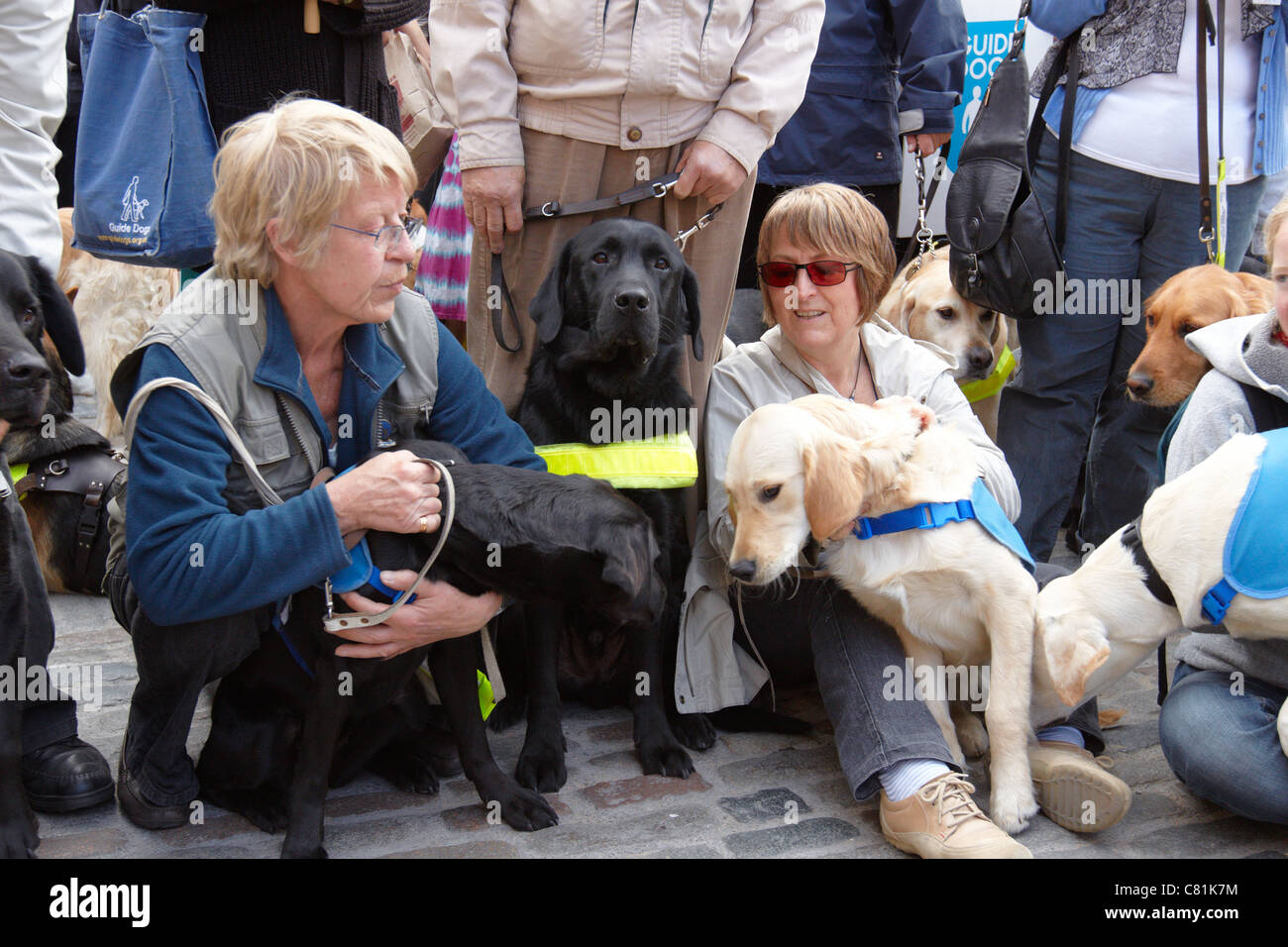 80 guide dog owners, guide dogs, puppies and walkers celebrate the 80th ...