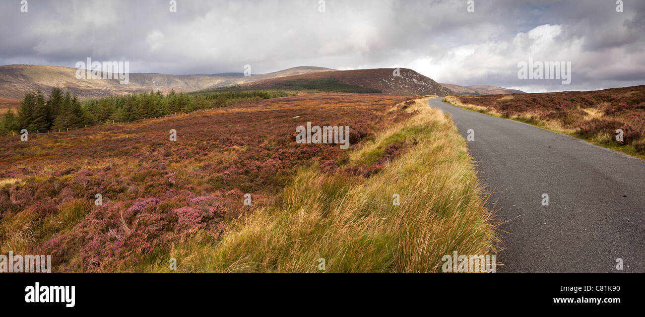 Ireland, Co Wicklow, Sally Gap military road beside Mullacleevaun ...