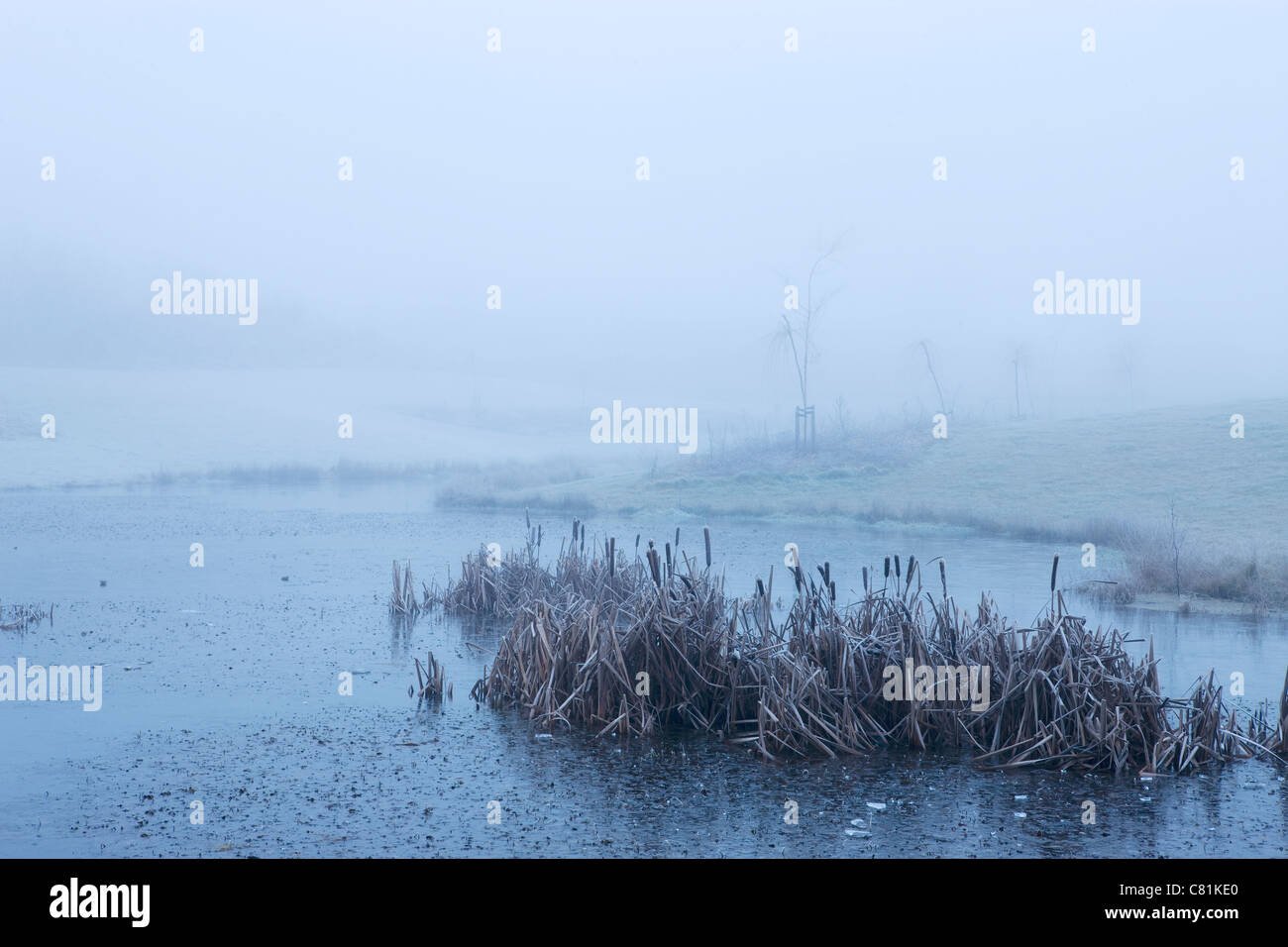 Ice structures on frozen lake hi-res stock photography and images - Alamy