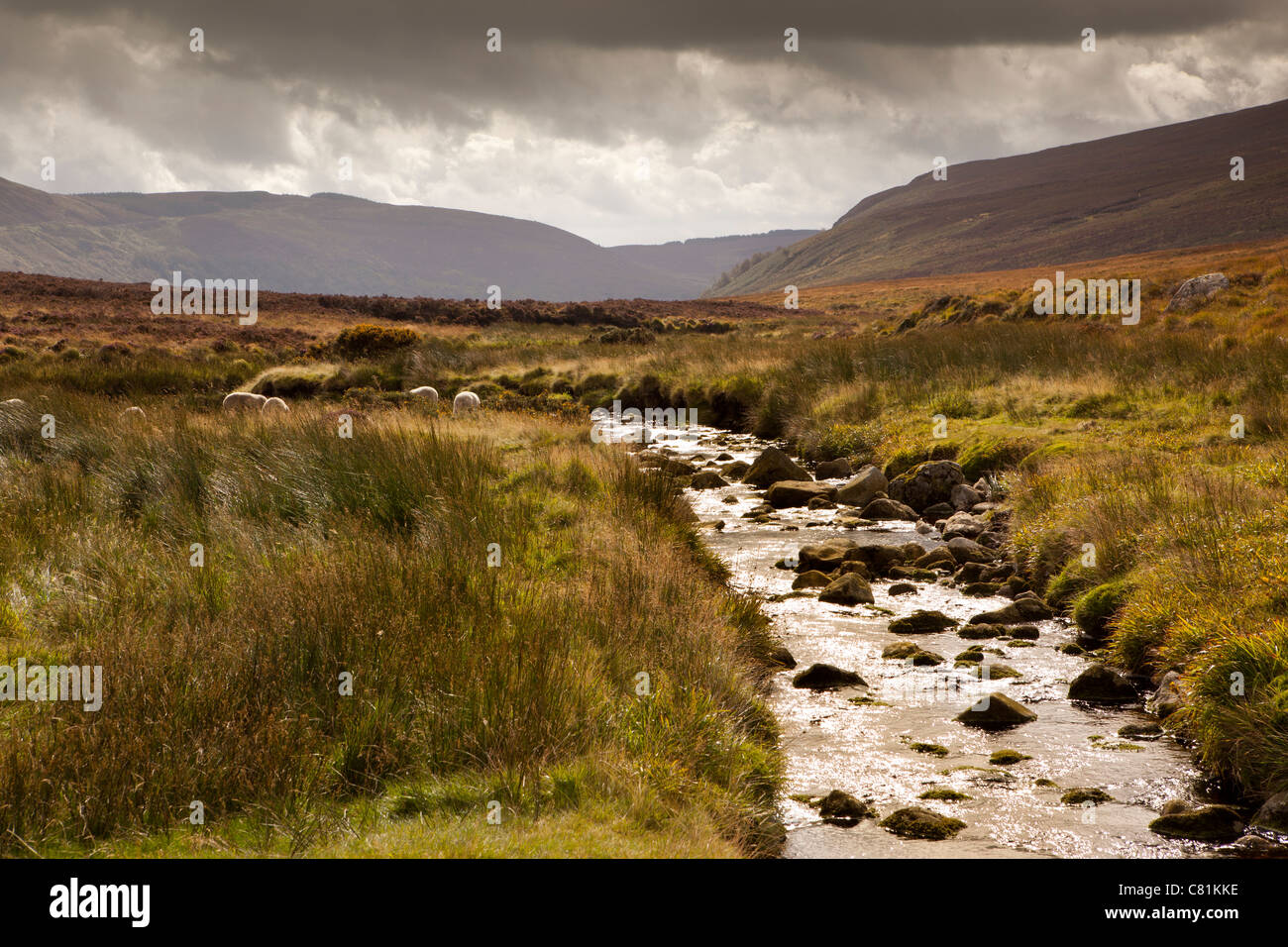 Sally gap drive hi-res stock photography and images - Alamy