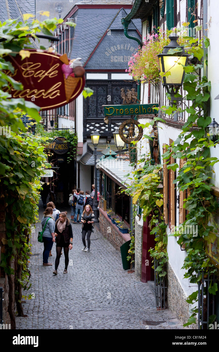 Famous tourist Drosselgasse Street in popular town of Rudesheim on ...
