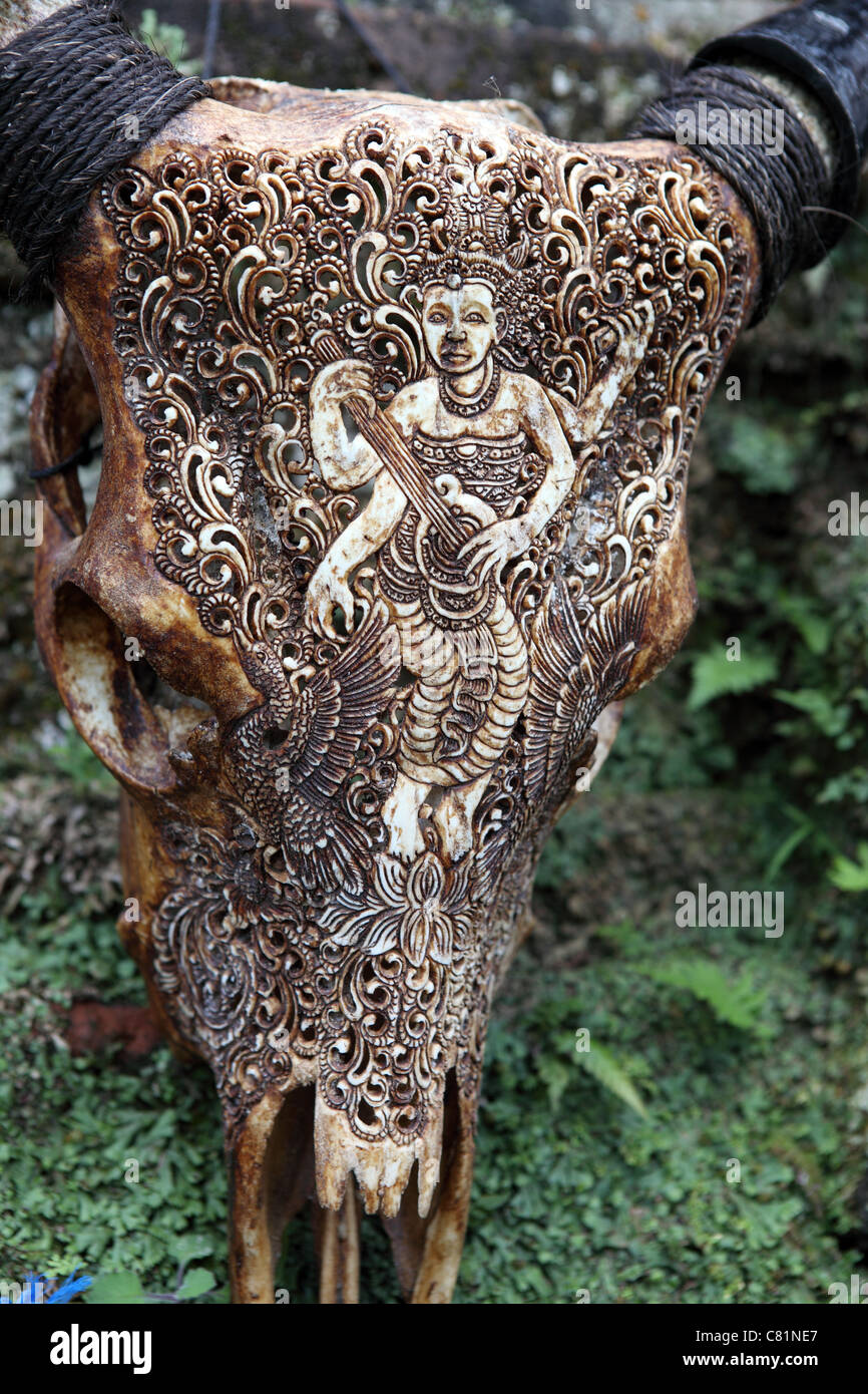 Cow skull pattern hi-res stock photography and images - Alamy