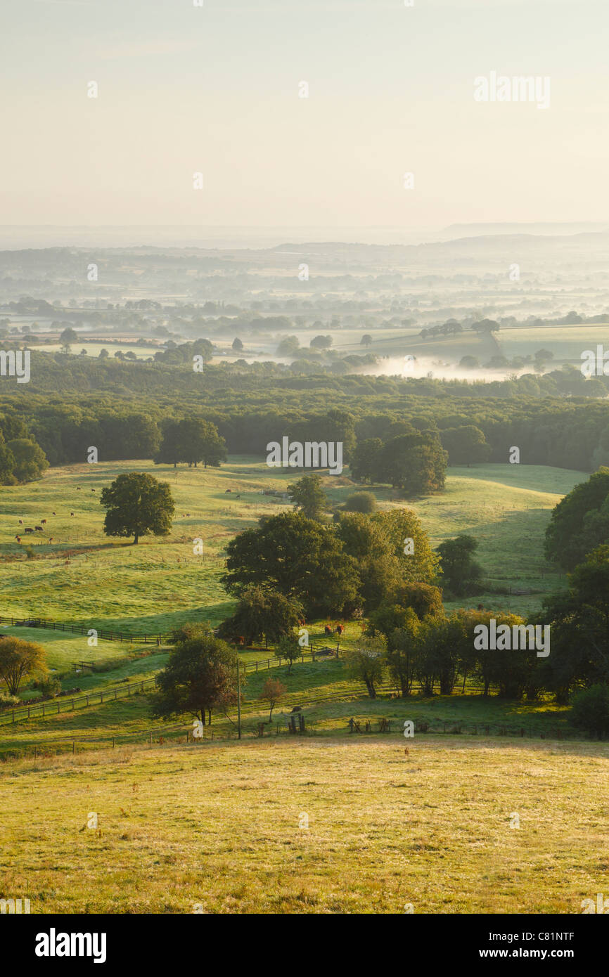 View from near Castle Neroche in The Blackdown Hills. Somerset. England ...