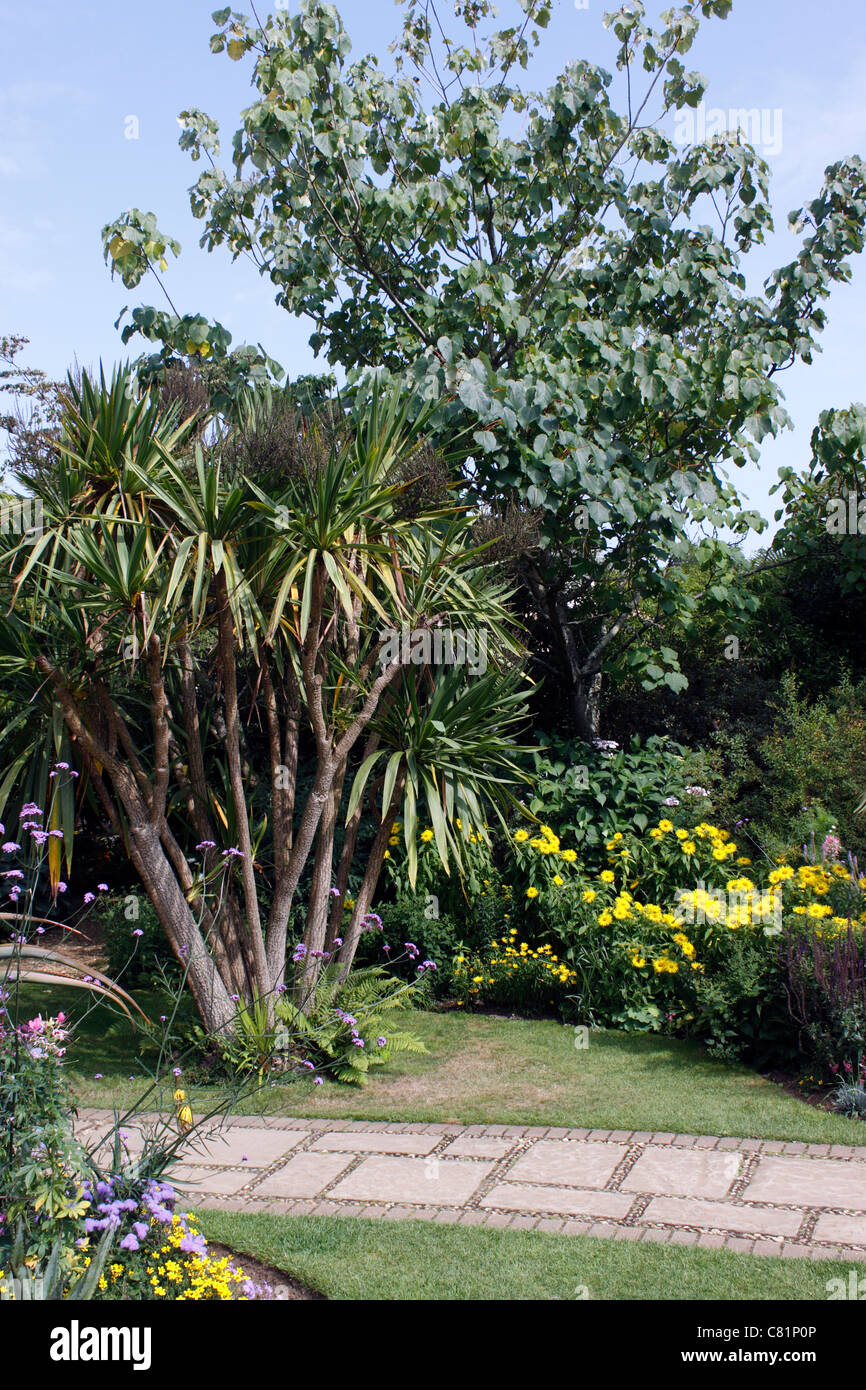 Attractive subtropical plants hi-res stock photography and images - Alamy