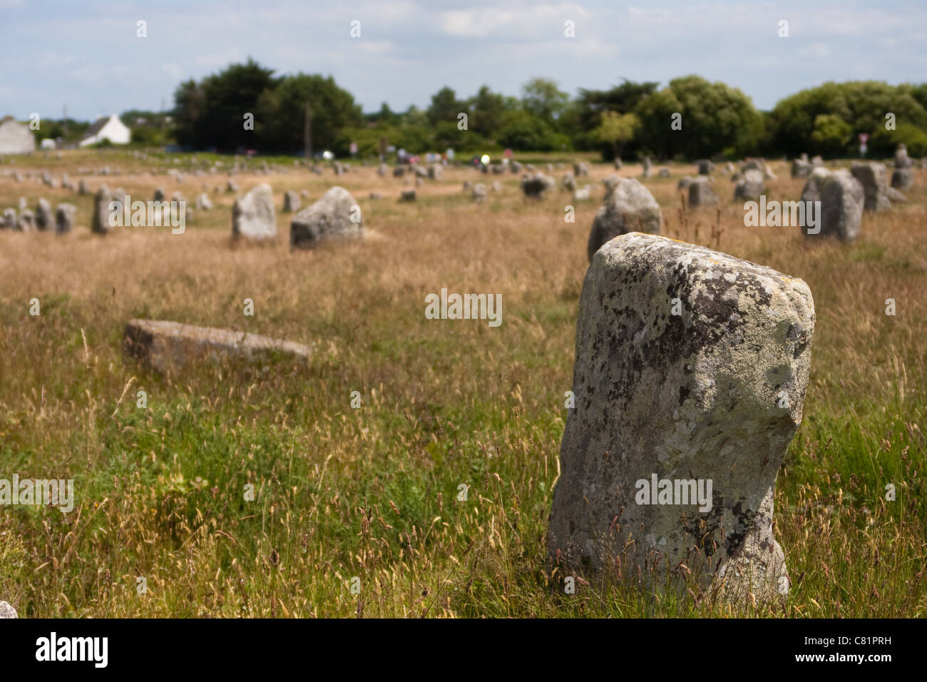The Carnac Stones, a megalithic site in Brittany, France Stock Photo ...