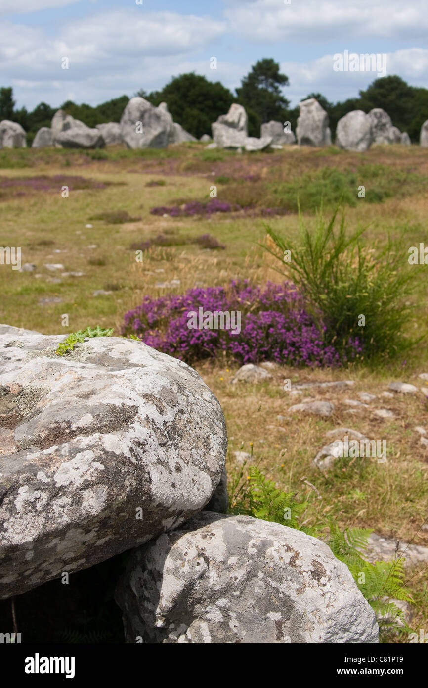 The Carnac Stones, a megalithic site in Brittany, France Stock Photo ...