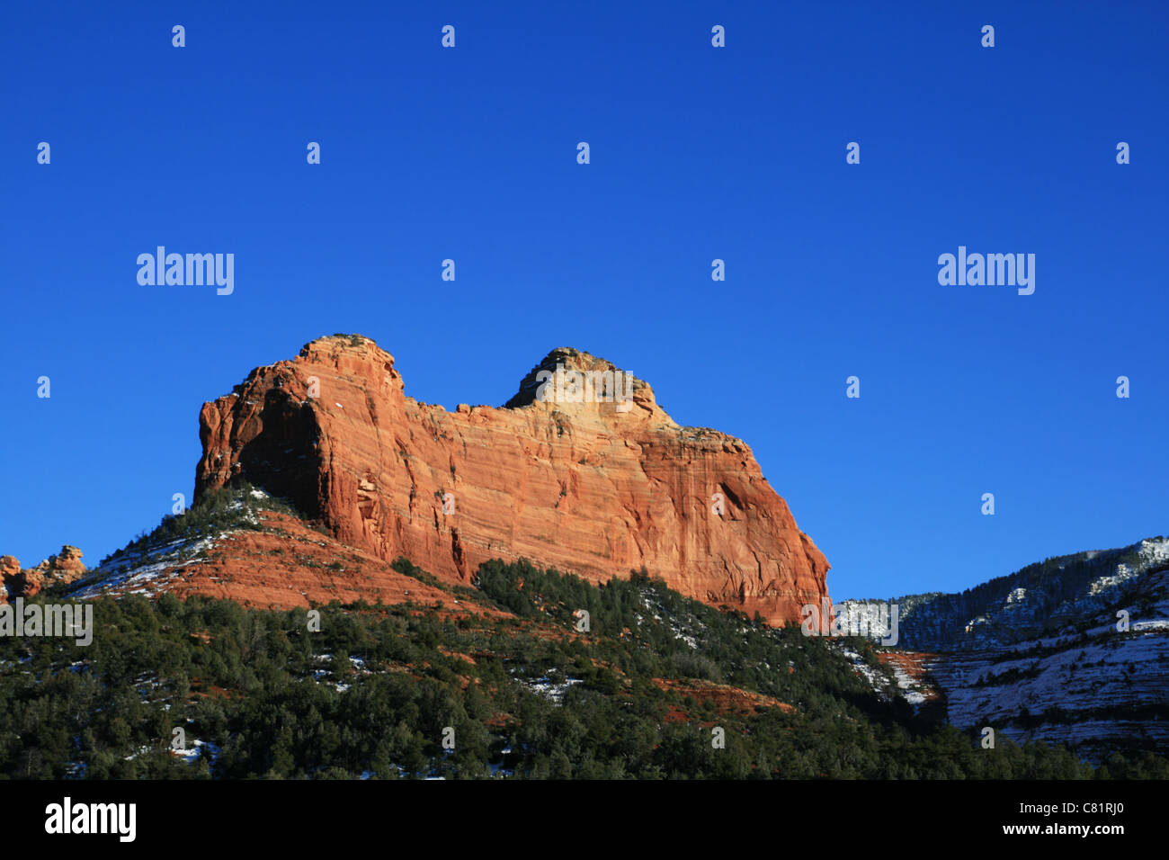 Sedona pine trees hi-res stock photography and images - Alamy