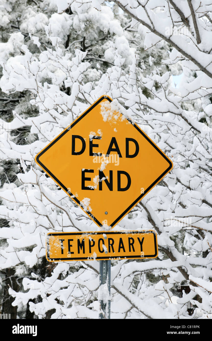 dead end road sign in yellow and black with snow and snowy branches ...