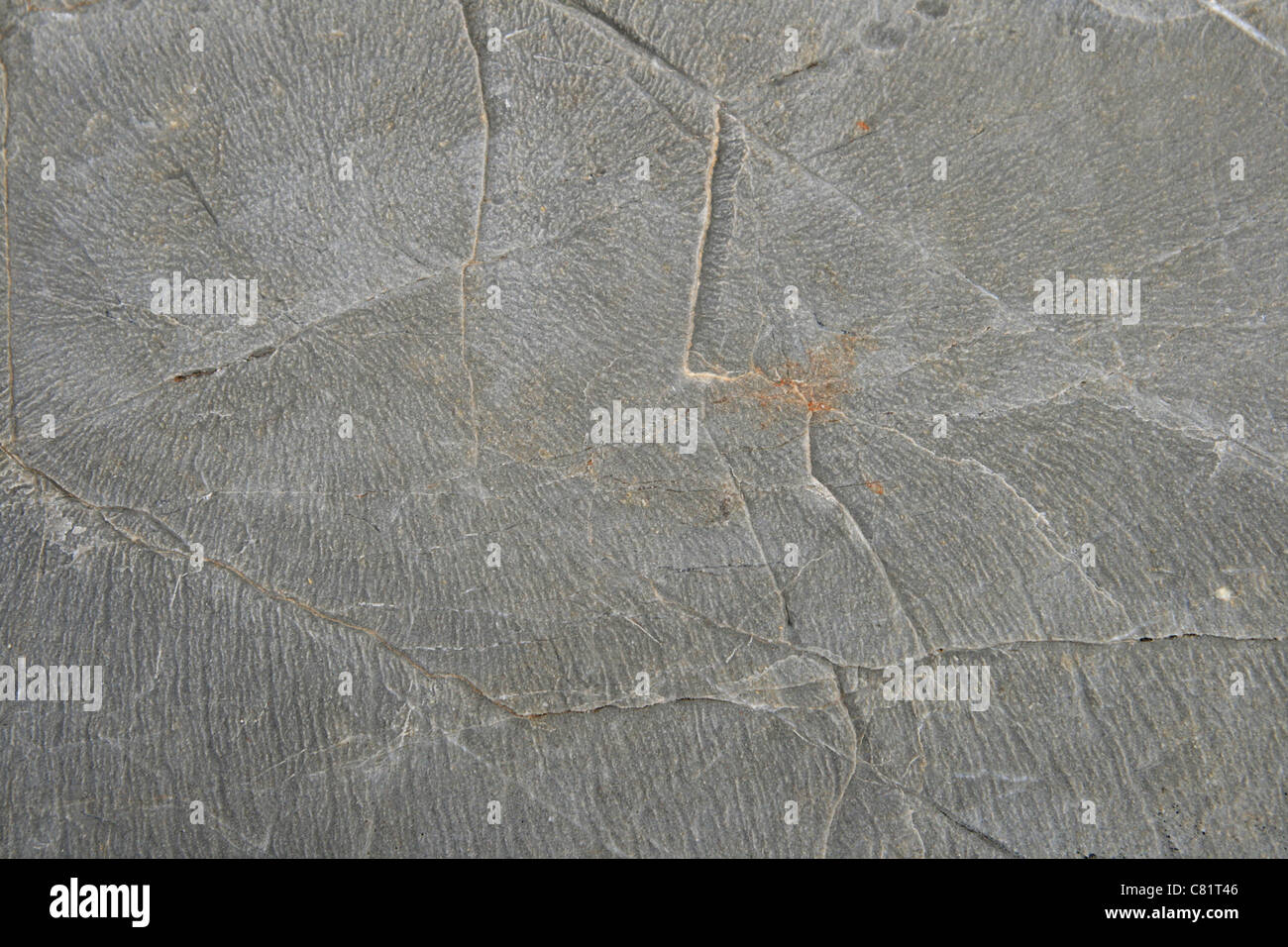 closeup of gray desert limestone texture for background Stock Photo - Alamy