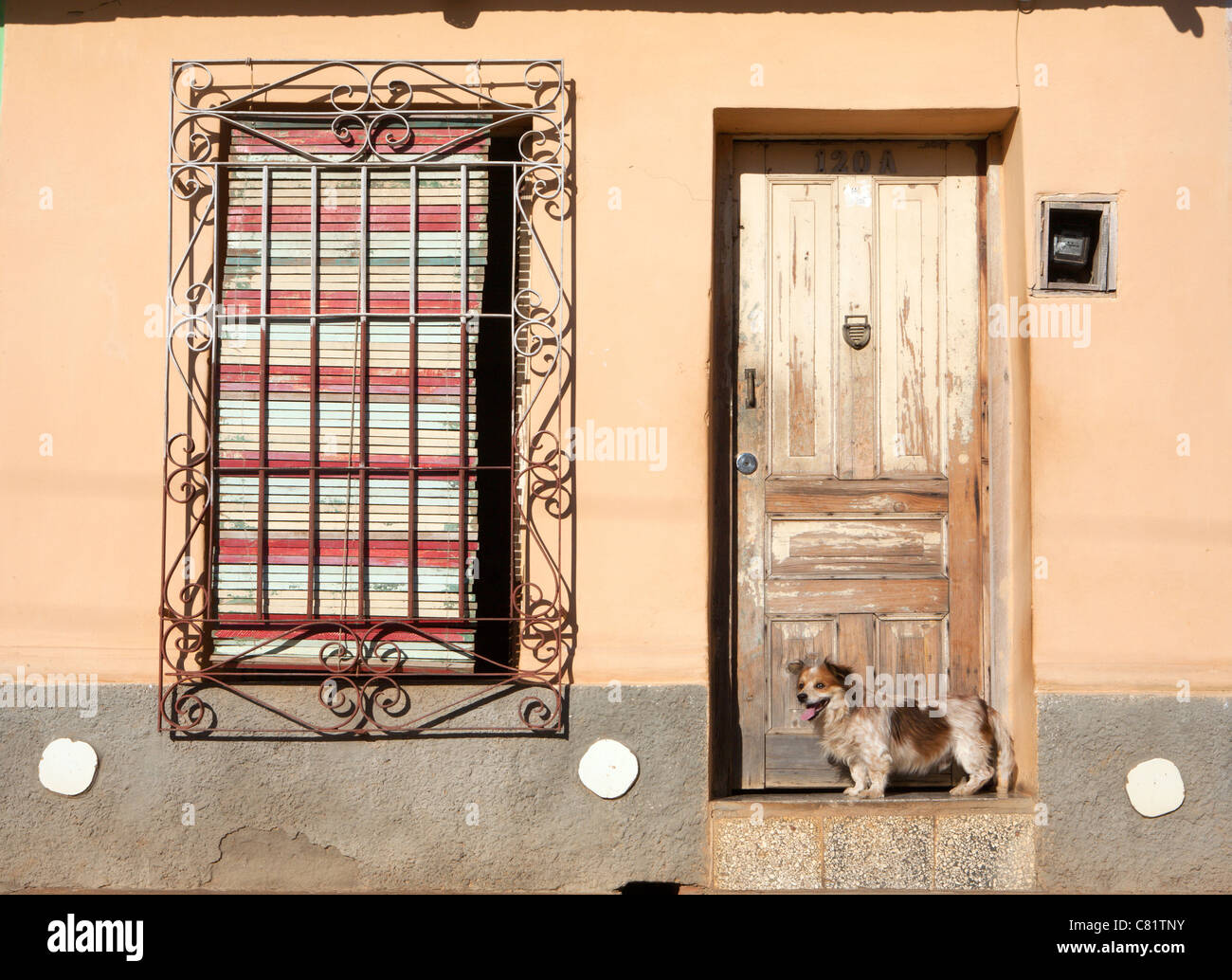 TRINIDAD: DOG IN DOORWAY Stock Photo - Alamy