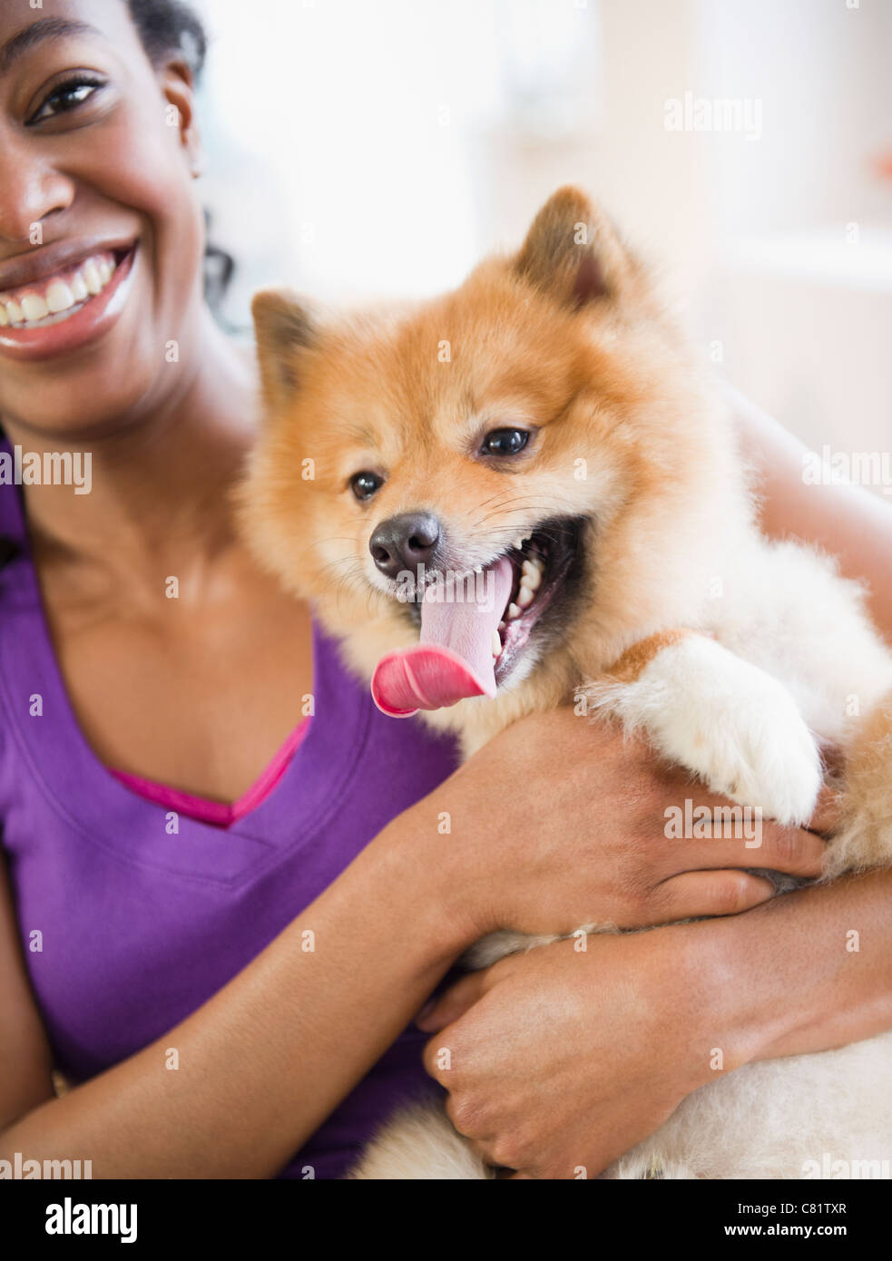 Pomeranian dog portrait close hi-res stock photography and images - Alamy