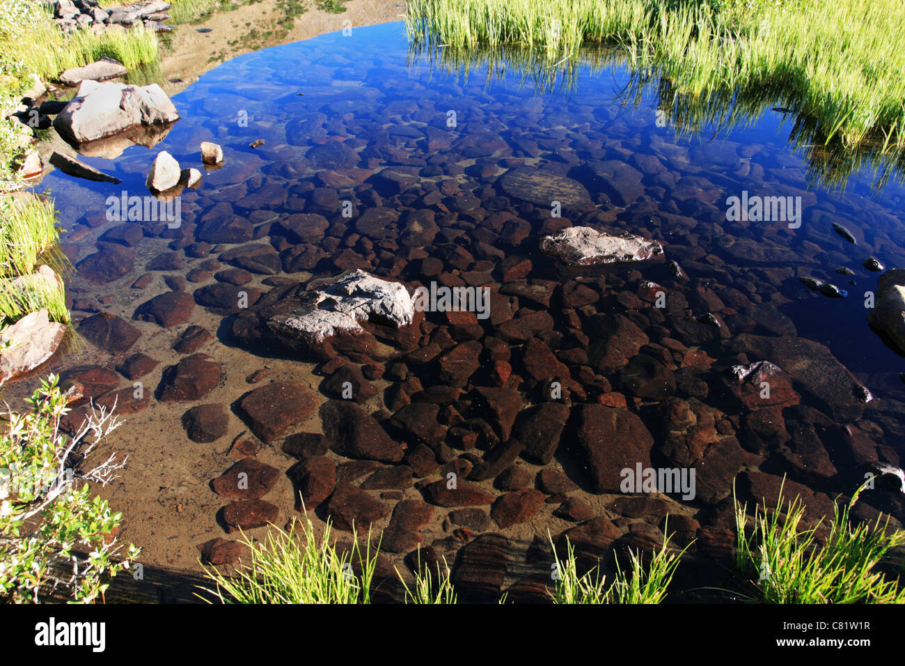 clear mountain pool with rocky bottom Stock Photo - Alamy
