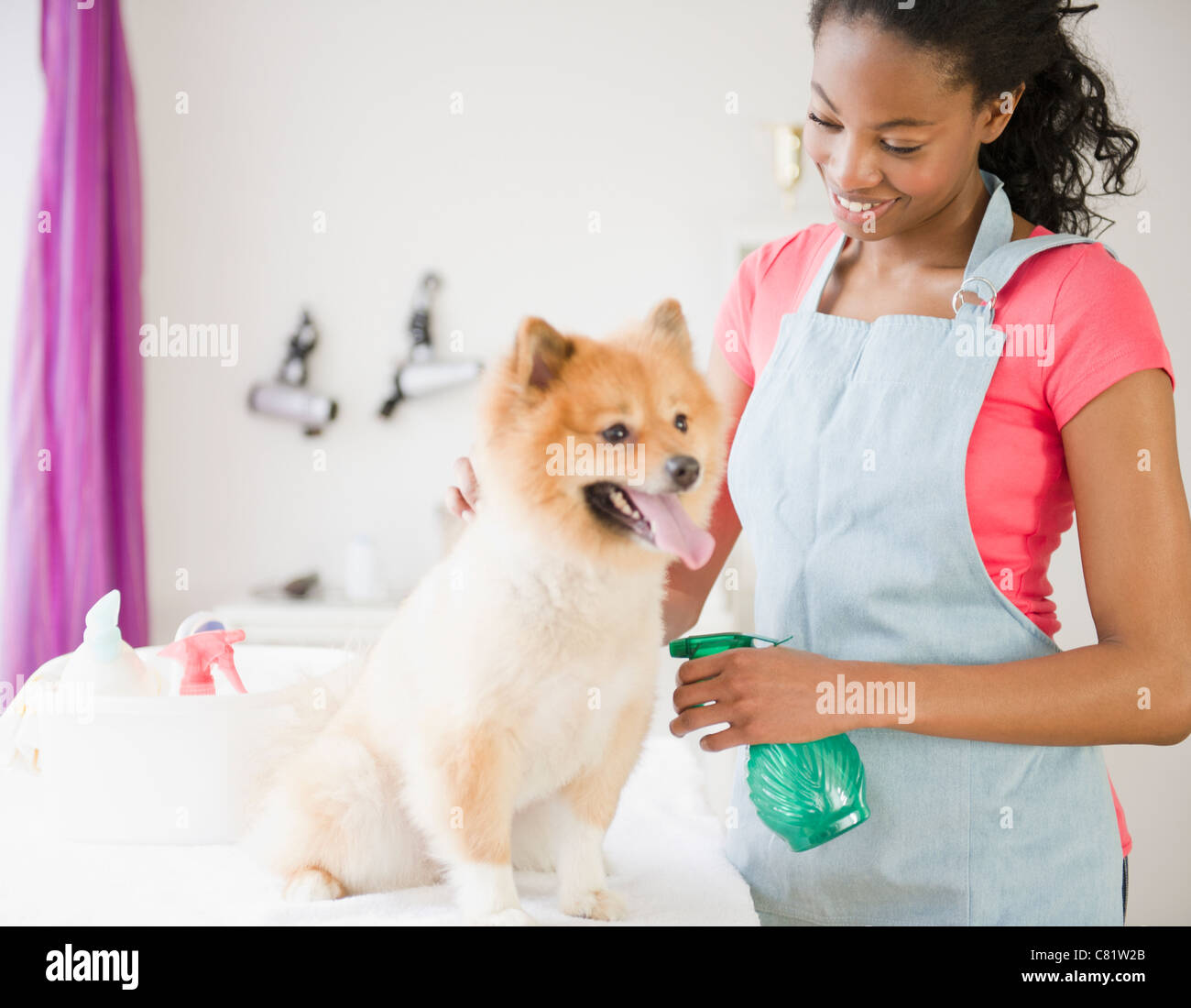 Grooming Dog High Resolution Stock Photography and Images - Alamy