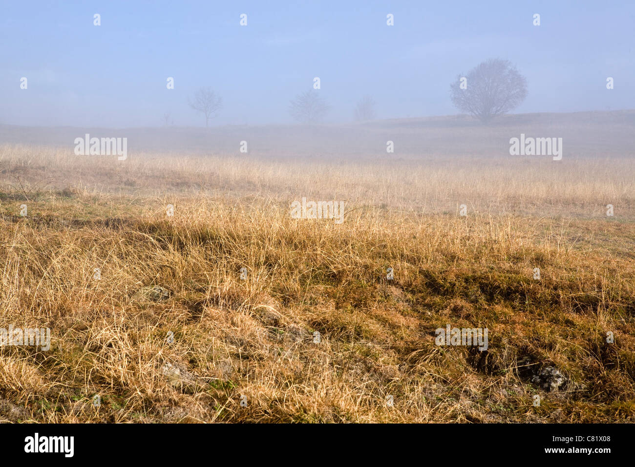 Misty farm hi-res stock photography and images - Alamy