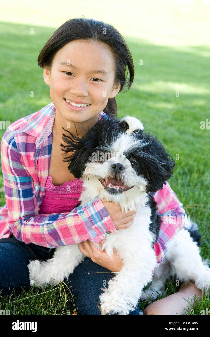 Shih tzu dog hi-res stock photography and images - Alamy
