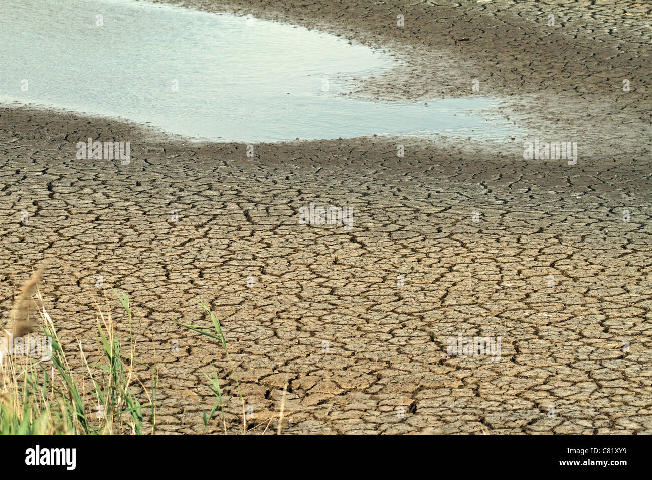 Drought - mud drying up on lake bed due to hot weather and no rain ...