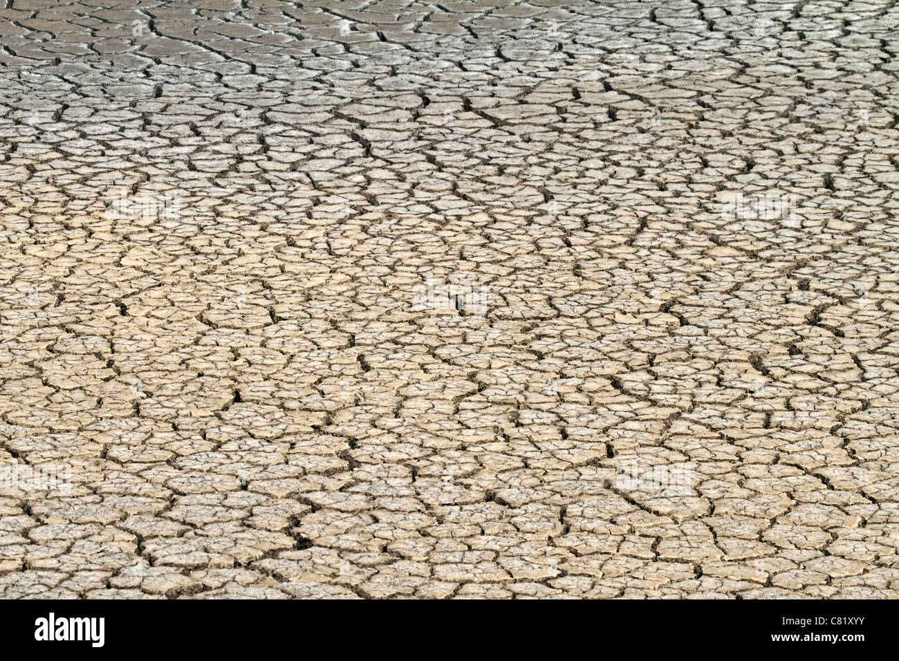 Drought - mud drying up on lake bed due to hot weather and no rain ...