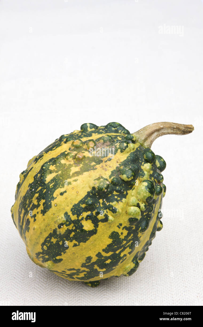 Edible Squash Gourd High Resolution Stock Photography and Images - Alamy