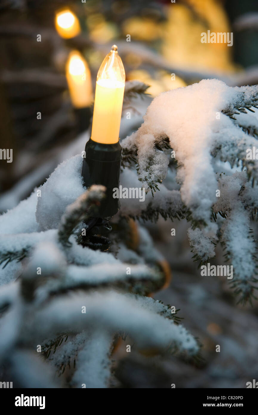 Christmas lights string hi-res stock photography and images - Alamy