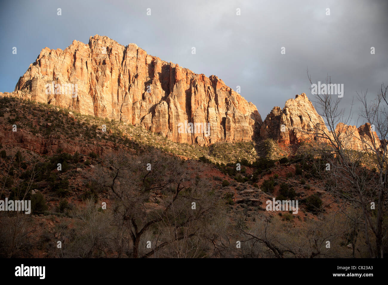 The Watchman in Zion National Park, as seen from the town of Springdale ...