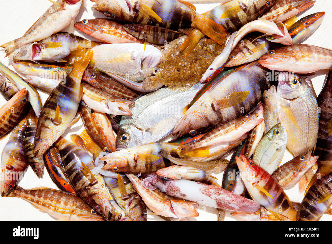 Mediterranean sea bream fish market hi-res stock photography and images ...