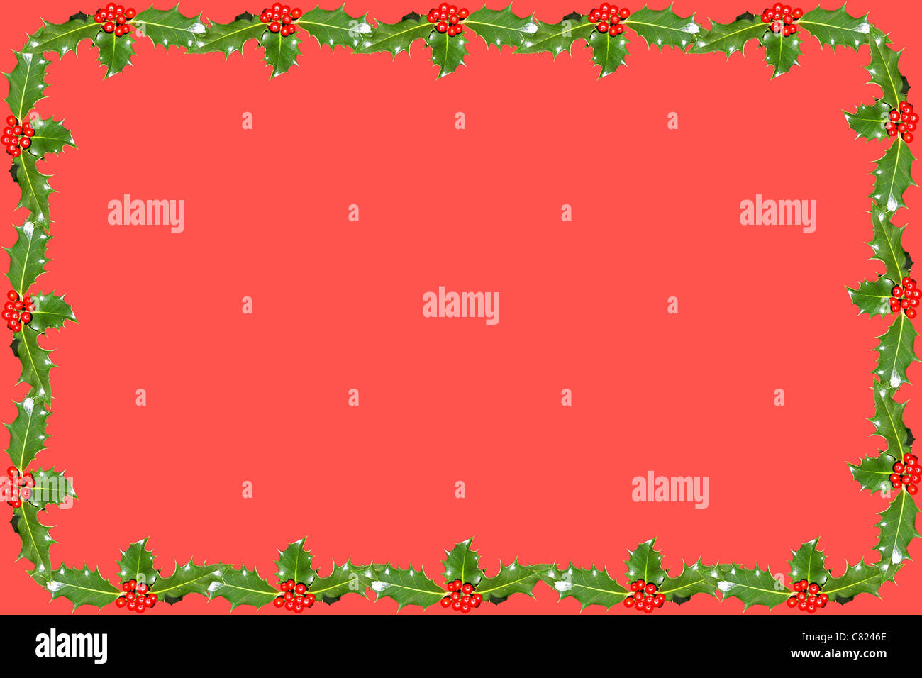 Christmas holly border hi-res stock photography and images - Alamy