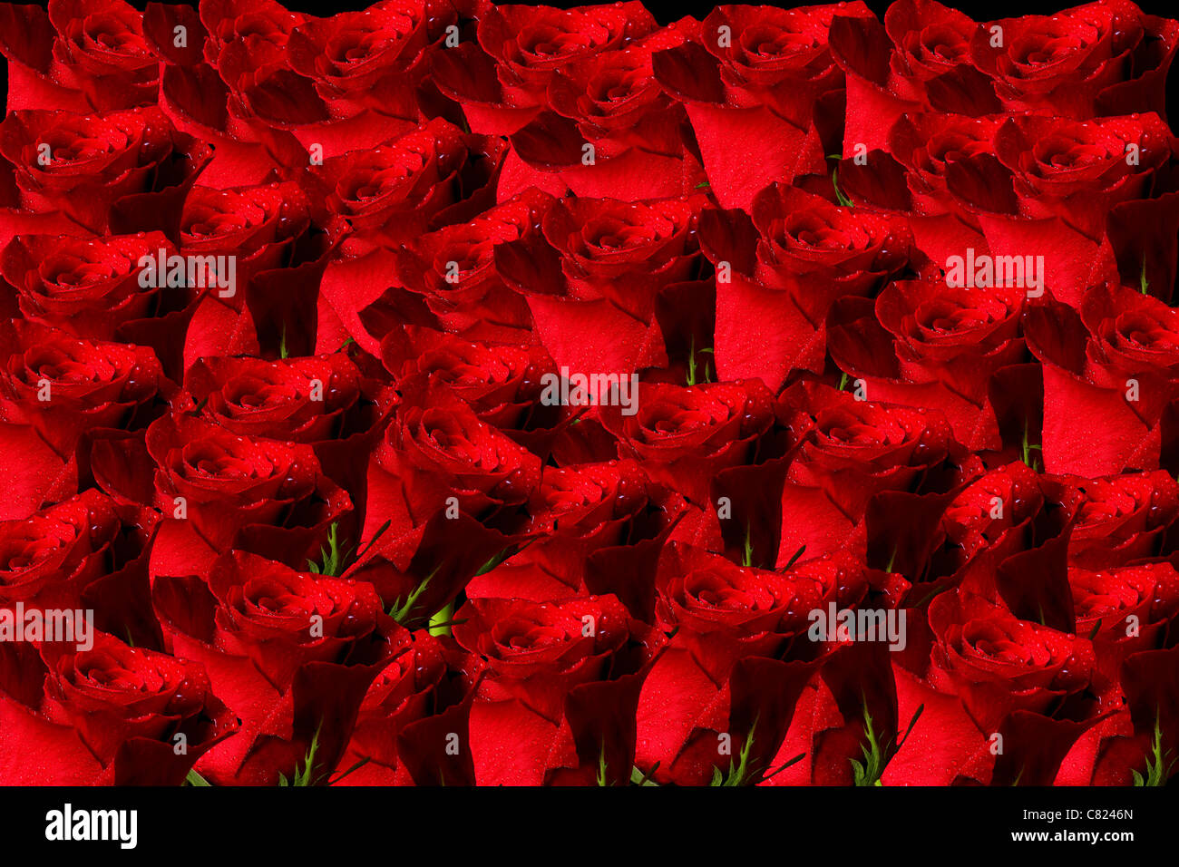 Red roses background Stock Photo - Alamy