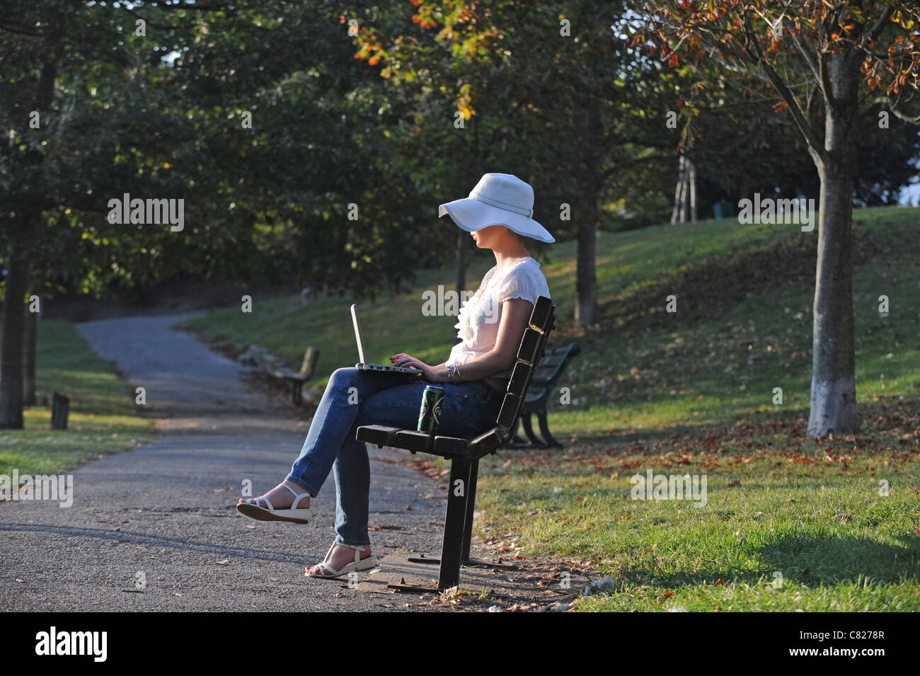 Outside laptop work concentrate hi-res stock photography and images - Alamy