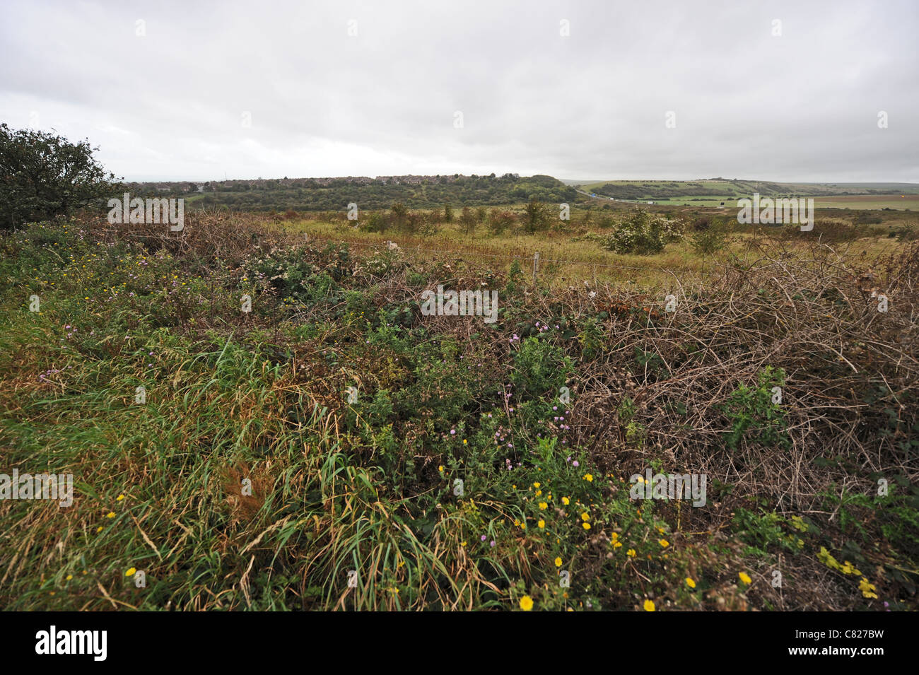 Litter that has been thrown on to a field at Toads Hole Valley in Hove ...