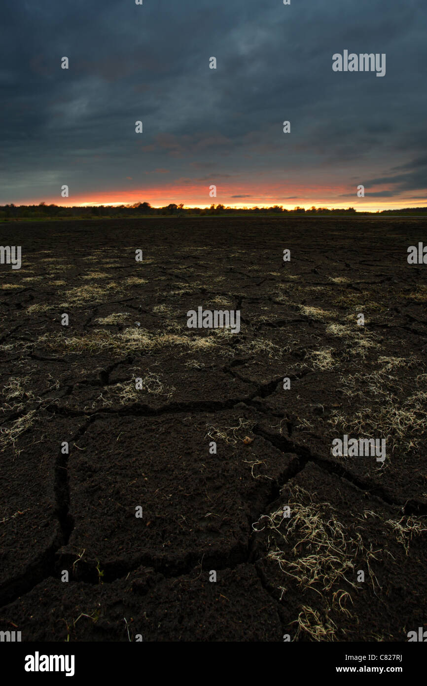 Cracked ground drought hi-res stock photography and images - Alamy