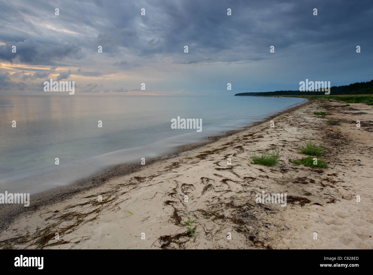 Baltic Coast at Hiiumaa island, Estonia Stock Photo - Alamy