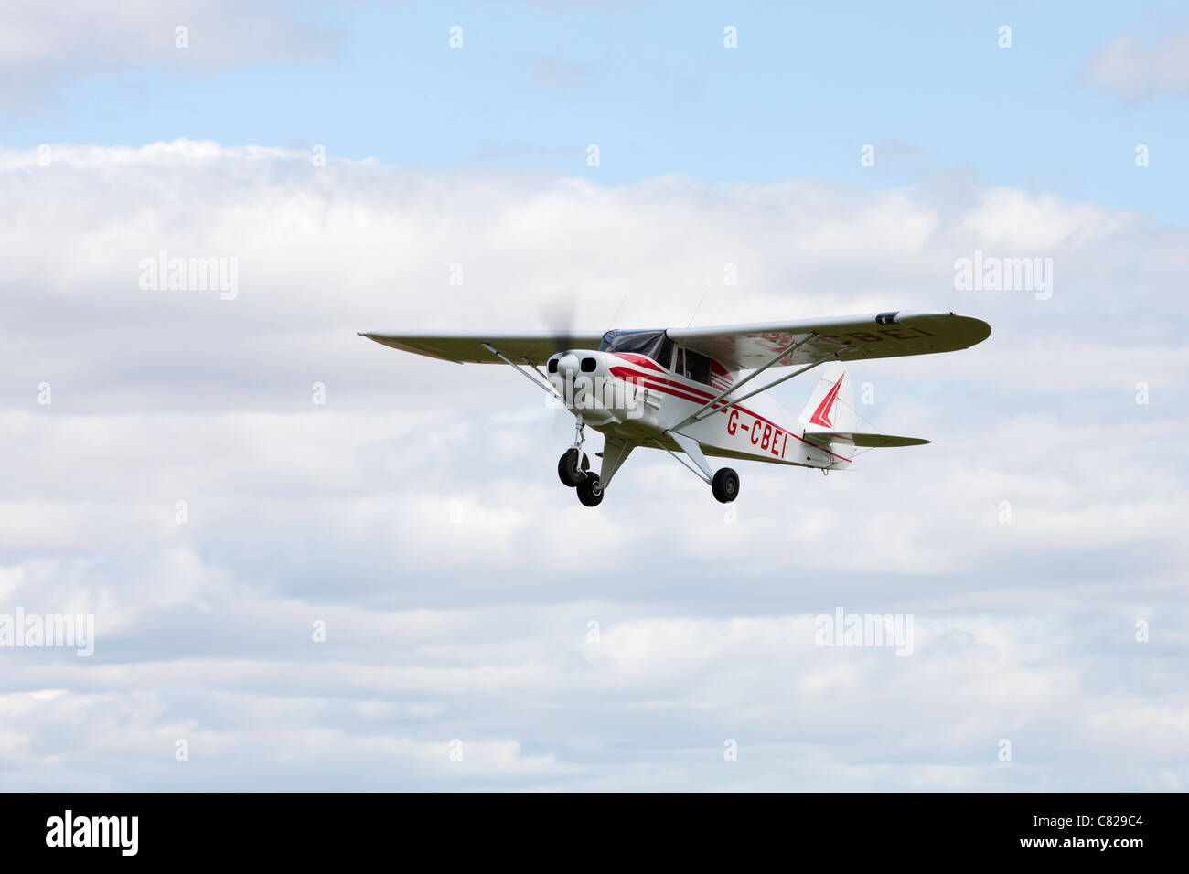 Piper colt hi-res stock photography and images - Alamy