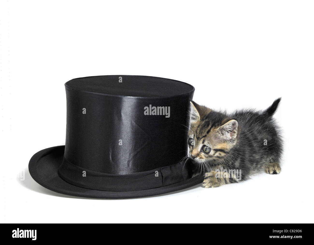 Sneak around Cut Out Stock Images & Pictures - Alamy