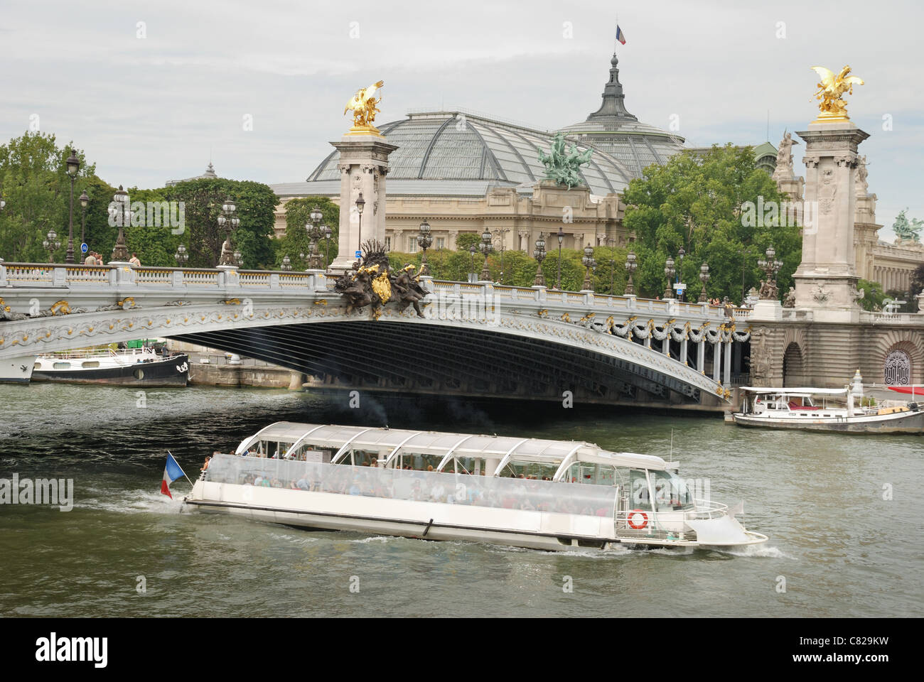 Grand Palace and Alexander III bridge in Paris, France Stock Photo - Alamy
