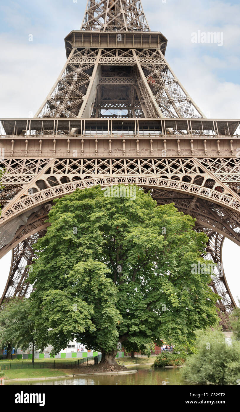 The Eiffel Tower with tree in Paris, France Stock Photo - Alamy