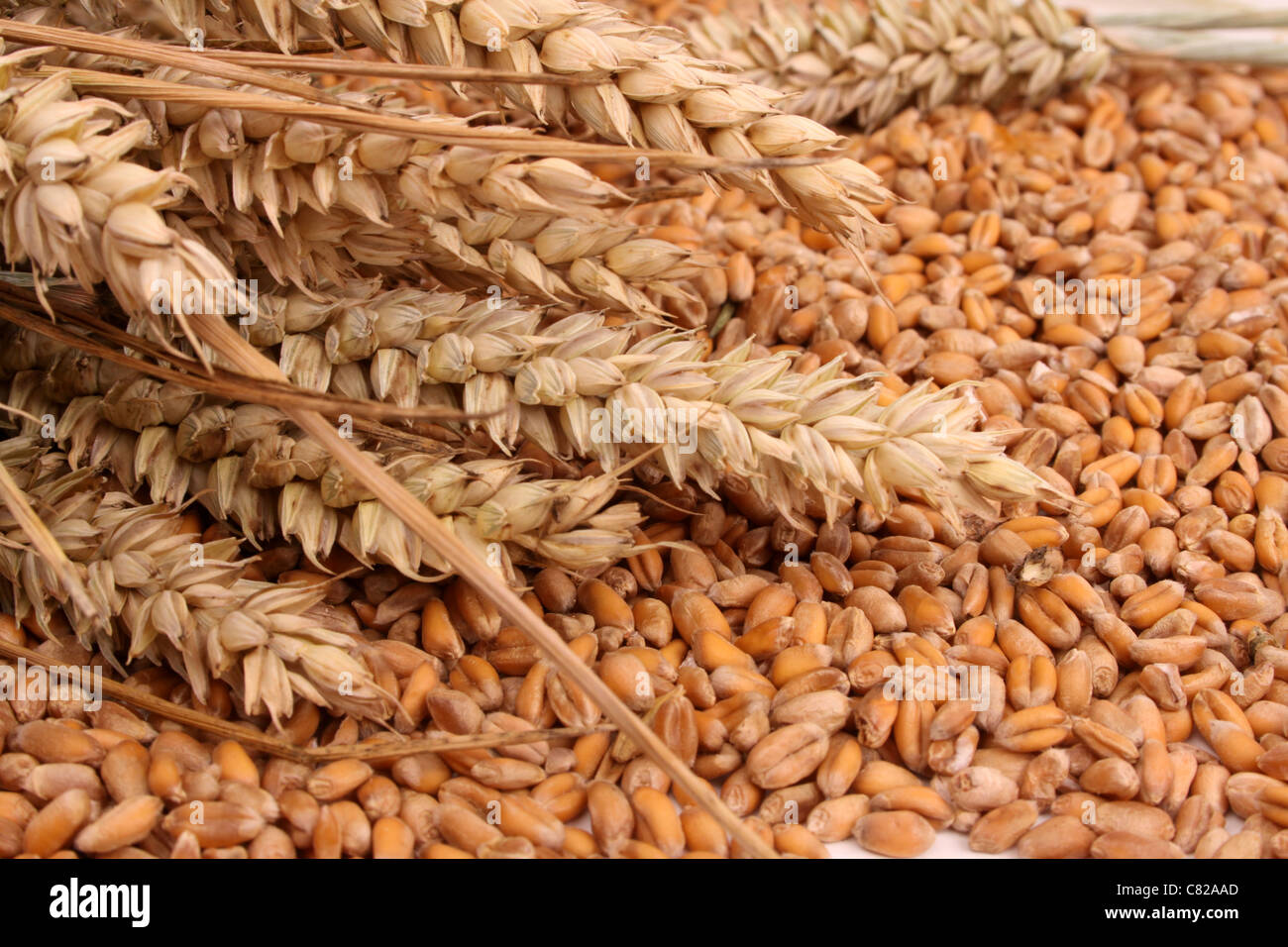 Wheat as bakery product in a studio setting Stock Photo - Alamy