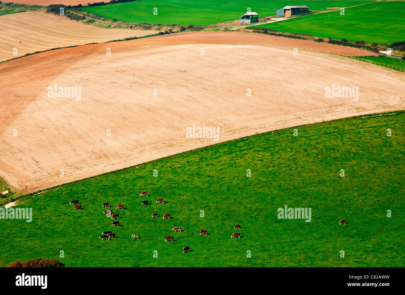 Fallow farm hi-res stock photography and images - Alamy
