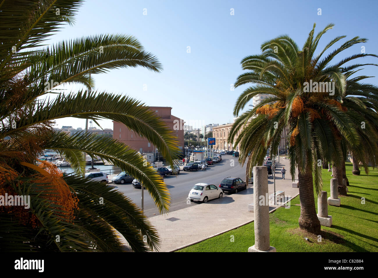 Italia palm hi-res stock photography and images - Alamy