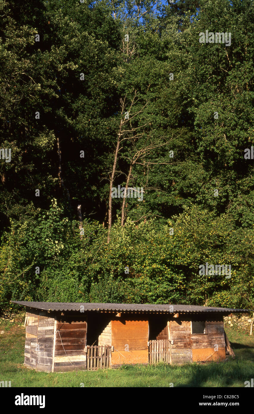 Old barn;Cangas de Oniz, Asturias, Spain Stock Photo - Alamy
